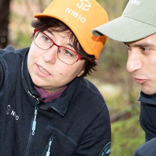 Overvåker karbon i skogsjord og beitemark - Nibio